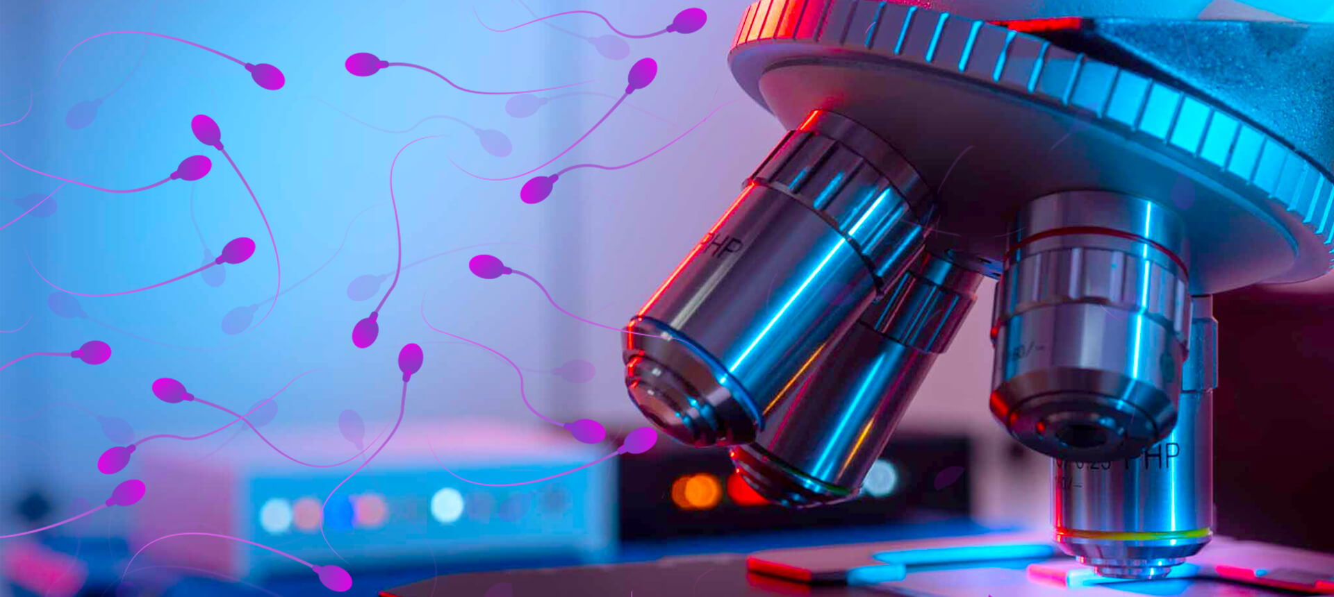 IMSI (Intracytoplasmic Morphologically Selected Sperm Injection) – No ...